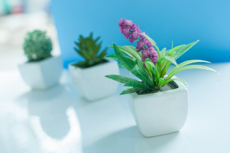 Beautiful flowers stock image. Image of flowers, beautiful - 34208707