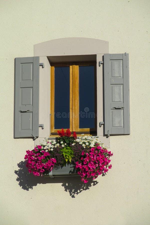 Beautiful flowers stock photo. Image of flowers, flora - 83178244