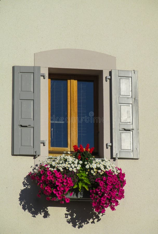 Beautiful flowers stock photo. Image of flowers, flora - 83178244