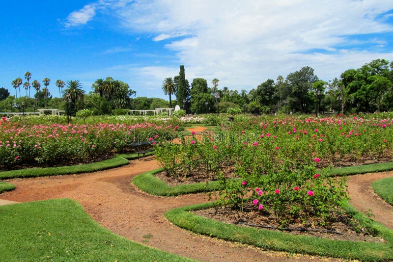 Flowers in the park stock photo. Image of botanical, blossom - 95172148