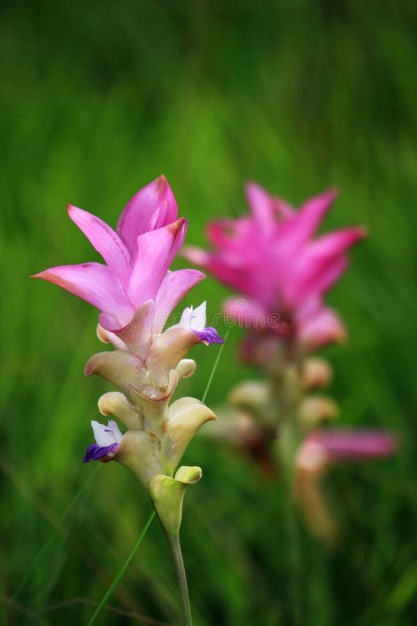 Beautiful Sea stock photo. Image of beautiful, seablue - 39873450