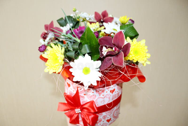 Beautiful Flowers of a Rose in a Box Stock Photo - Image of flower ...