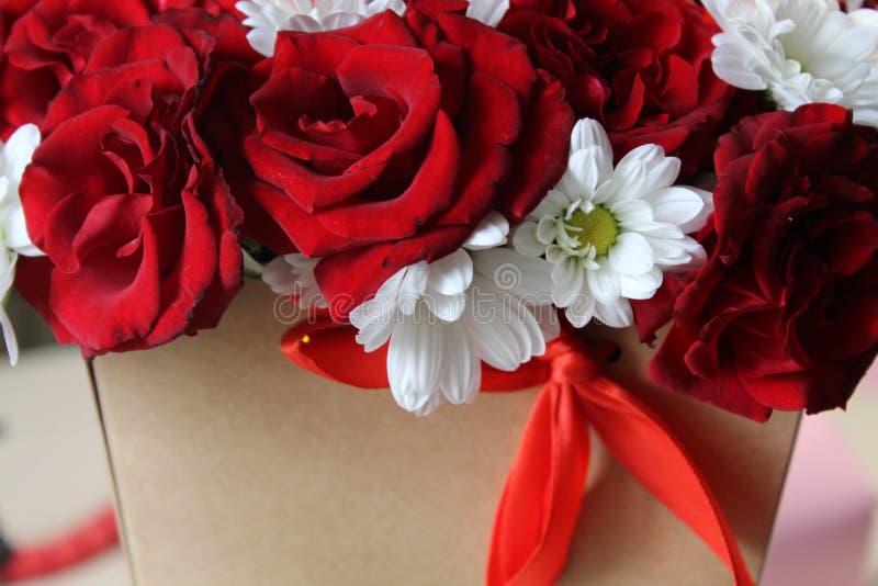 Beautiful Flowers of a Rose in a Box Stock Photo - Image of romantic ...