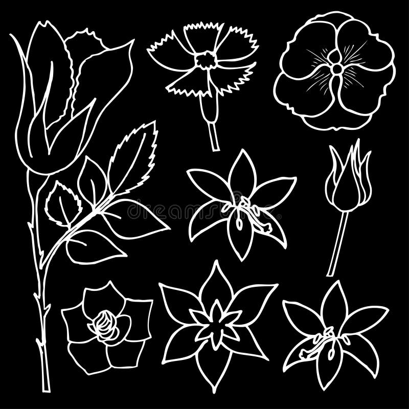 Primrose Doodle Stock Illustrations – 145 Primrose Doodle Stock ...