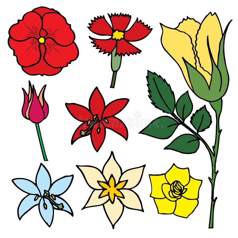 Primrose Doodle Stock Illustrations – 145 Primrose Doodle Stock ...