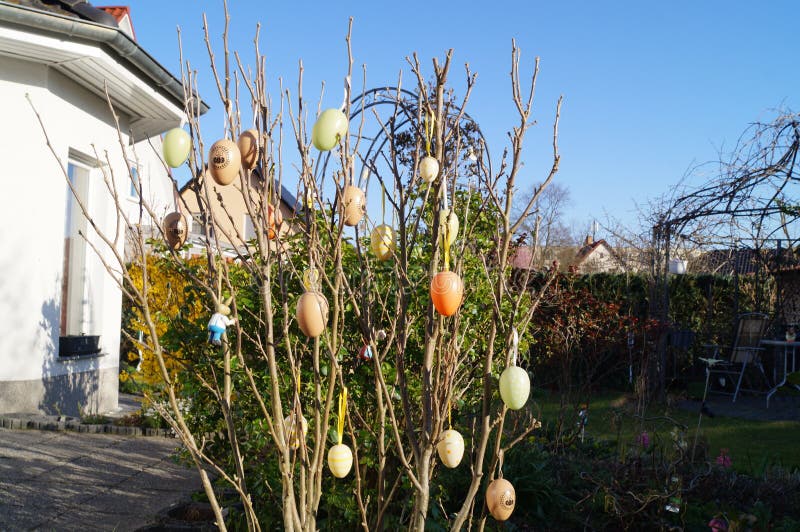 A Tree Hung with Easter Eggs in the Garden. Berlin, Germany Stock Photo ...
