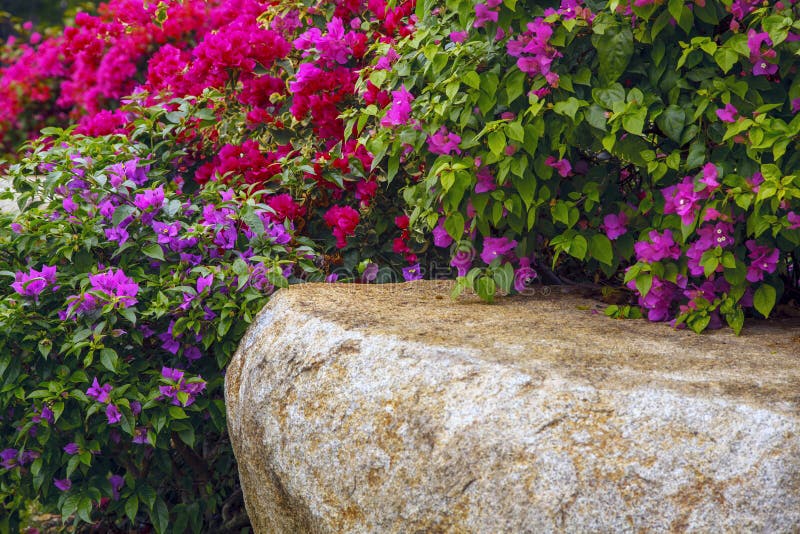 Beautiful Flowers and Stones, Spring Flowers, Park Landscape Design ...