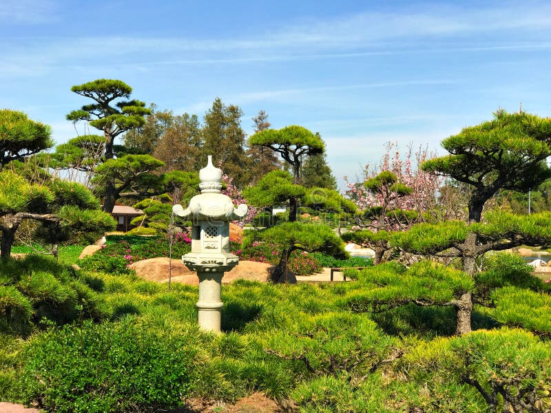 Beautiful Flowers and Trees in Japanese Garden Stock Photo - Image of ...