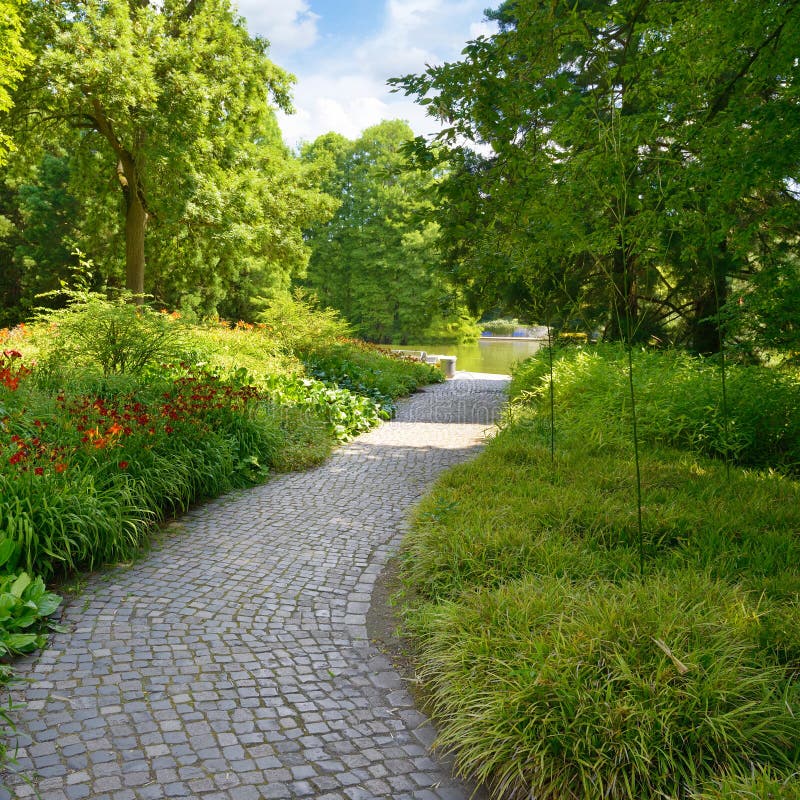 Beautiful Flowers and Trees in the Park Stock Image - Image of ...