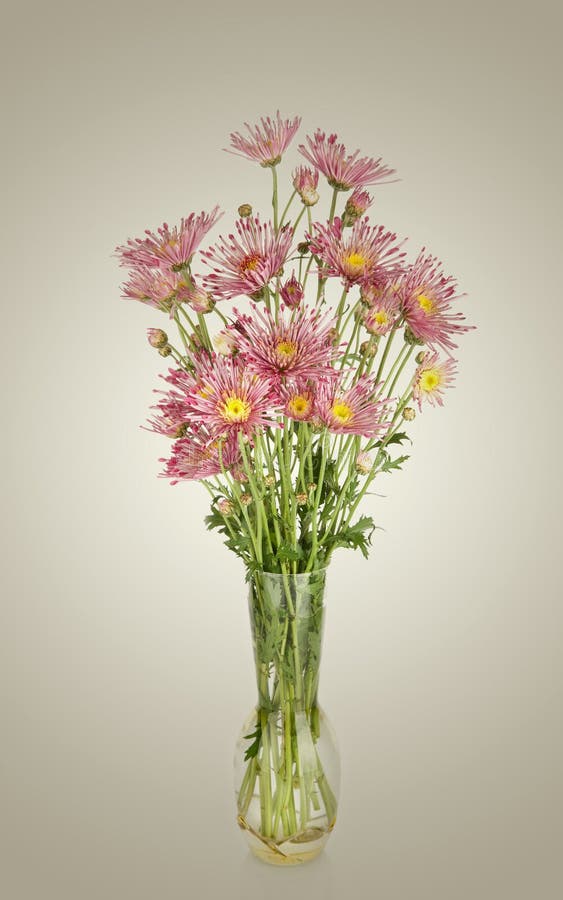 Beautiful Flowers in a Vase Stock Image - Image of glass, vase: 35275823