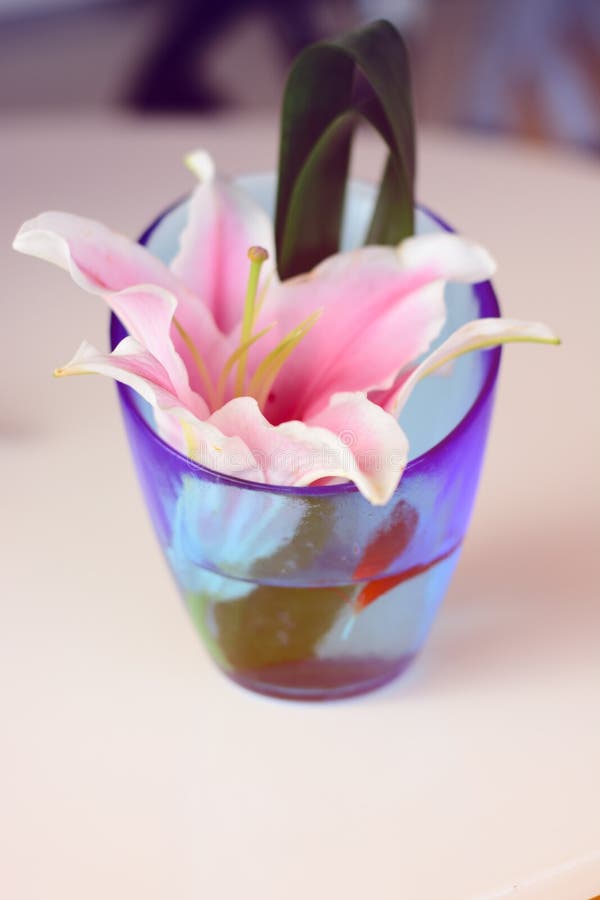 Beautiful flowers in vase stock image. Image of indoor - 67328199