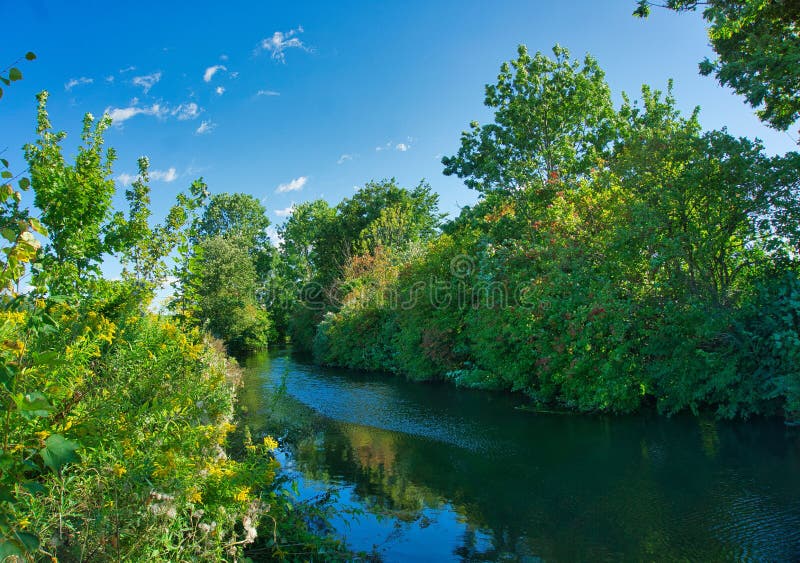 Beautiful Flowing River in a Lush Green Park Stock Photo - Image of ...