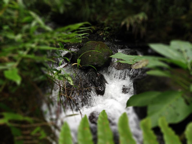 Beautiful Flowing Water in a Tourist Spot Stock Photo - Image of plant ...