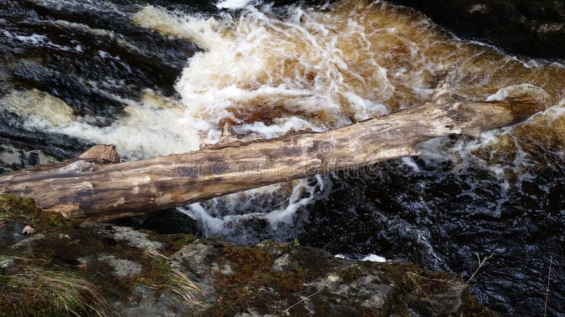 Beautiful Flowing Waterfall with Fallen Tree Stock Photo - Image of ...