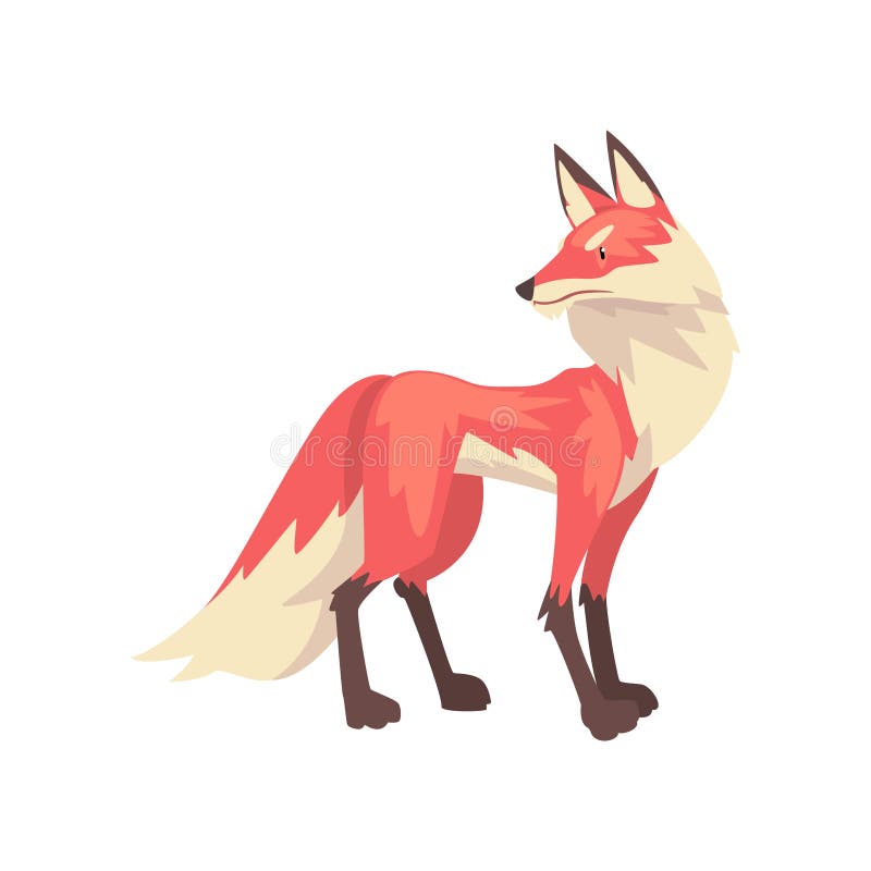 Cunning Red Fox Character Sitting, Side View Cartoon Vector ...
