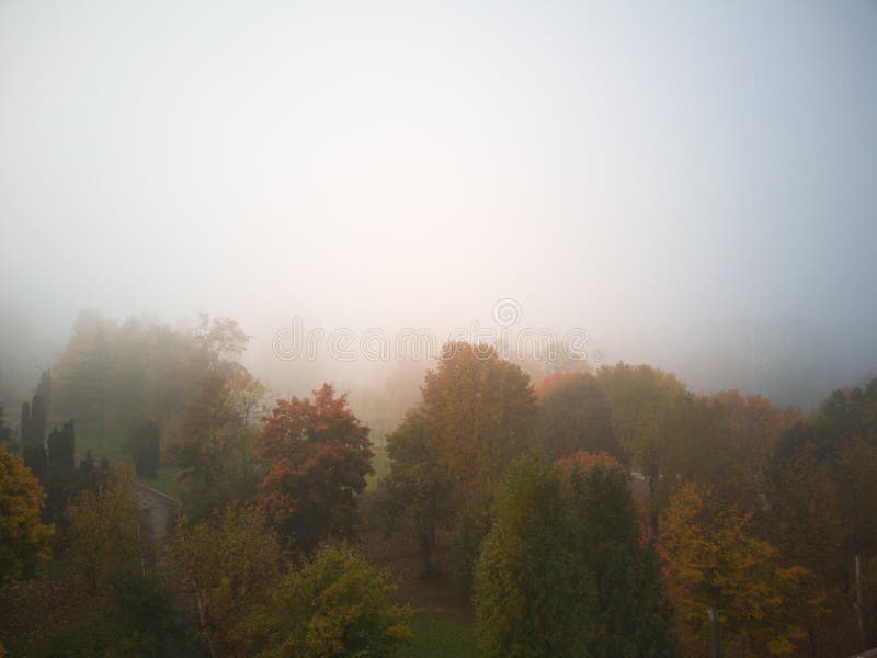 Beautiful Fog in a Cozy Place Stock Image - Image of nice, lovely ...