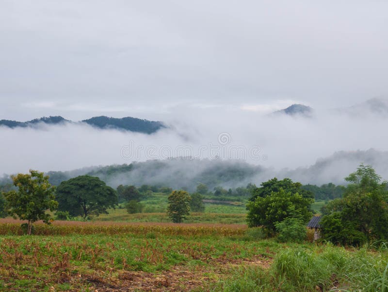 Beautiful Fog Landscape in the Mountains Stock Photo - Image of park ...