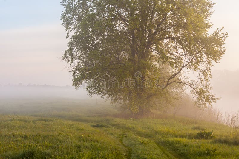 Beautiful Fog on a River Photo Stock Photo - Image of stone, beauty ...
