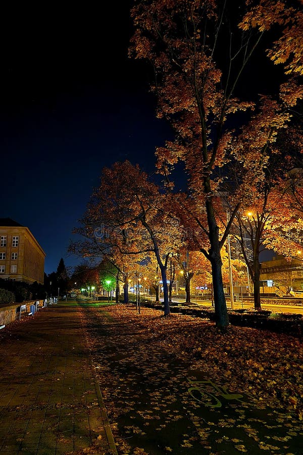 Beautiful Footpath in the City at Night. Stock Image - Image of travel ...