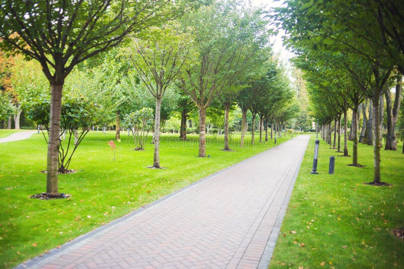 Beautiful footpath in park stock image. Image of green - 132650791
