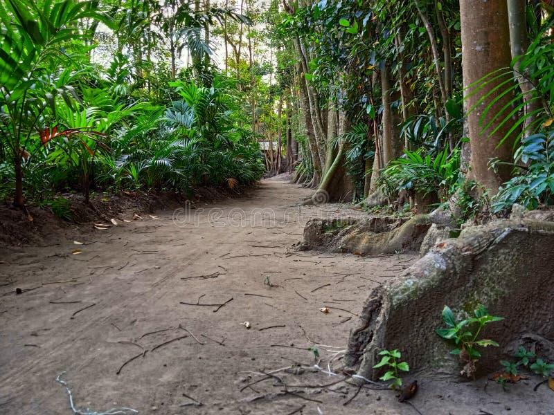 Summerpath Stock Photos - Free & Royalty-Free Stock Photos from Dreamstime