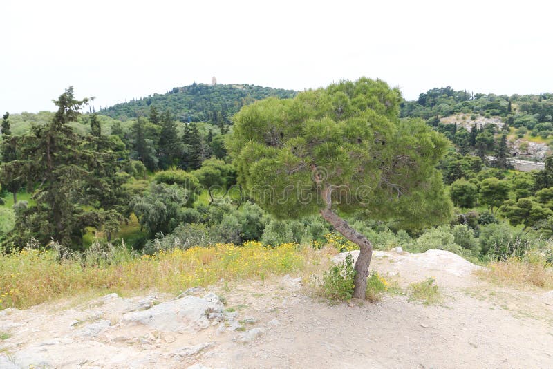 Photographer at Top of Athens Stock Photo - Image of enjoy, athens ...