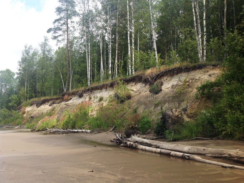 Beautiful forest cliff stock image. Image of trees, cliff - 97931571