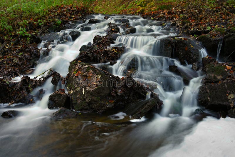 Beautiful Forest with Flowing Water in the Stream. Concept for Nature ...