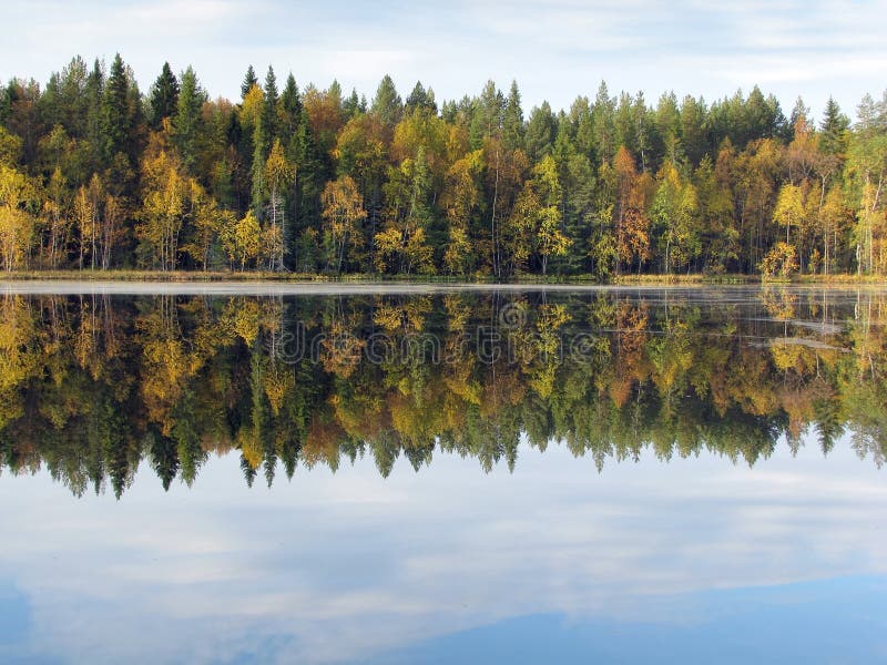 Beautiful forest lake stock photo. Image of herb, solar - 16095636