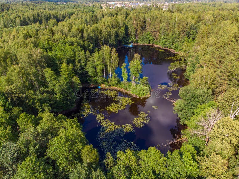 Beautiful Forest Lake, Aerial View Stock Image - Image of color, region ...