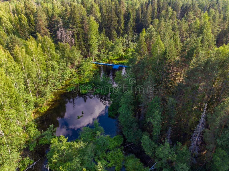 Beautiful Forest Lake, Aerial View, Stock Image - Image of forest ...