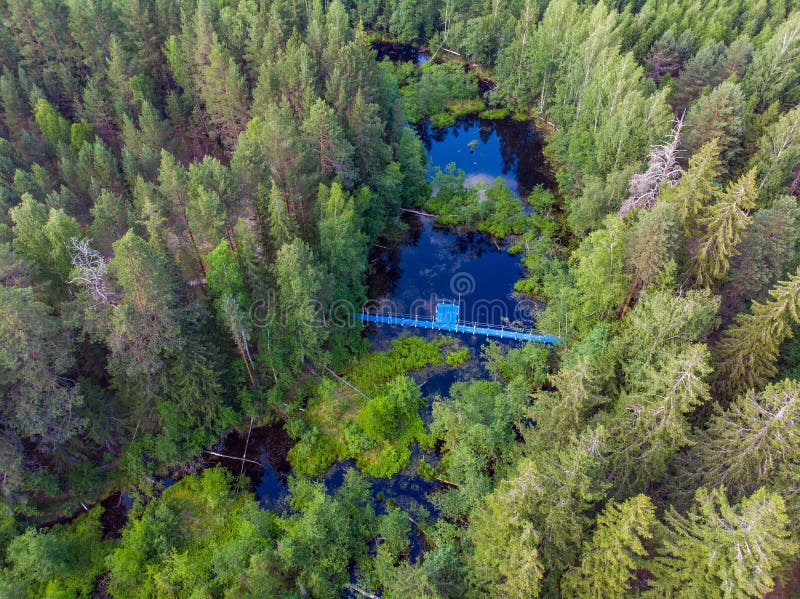 Beautiful Forest Lake, Aerial View Stock Photo - Image of aerial ...