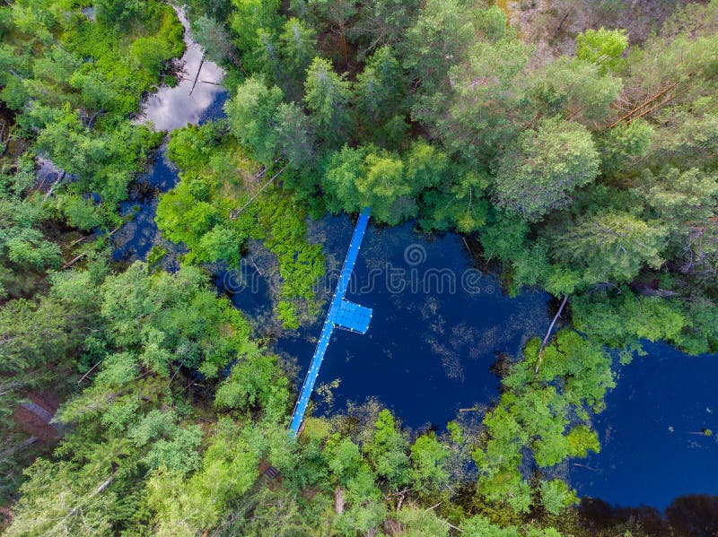 Beautiful Forest Lake, Aerial View Stock Image - Image of nature, pines ...