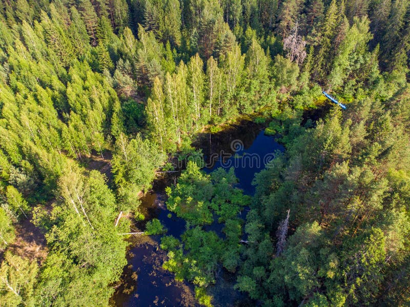 Beautiful Forest Lake, Aerial View Stock Photo - Image of trees, season ...