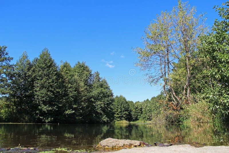 Beautiful Forest Pond in Early Spring. Central Russia. Stock Photo ...