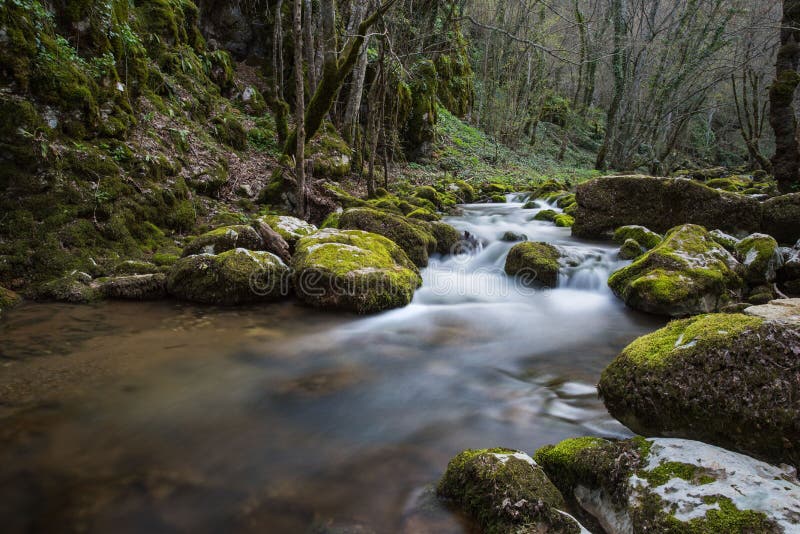 Beautiful forest river stock photo. Image of rock, hill - 90892444