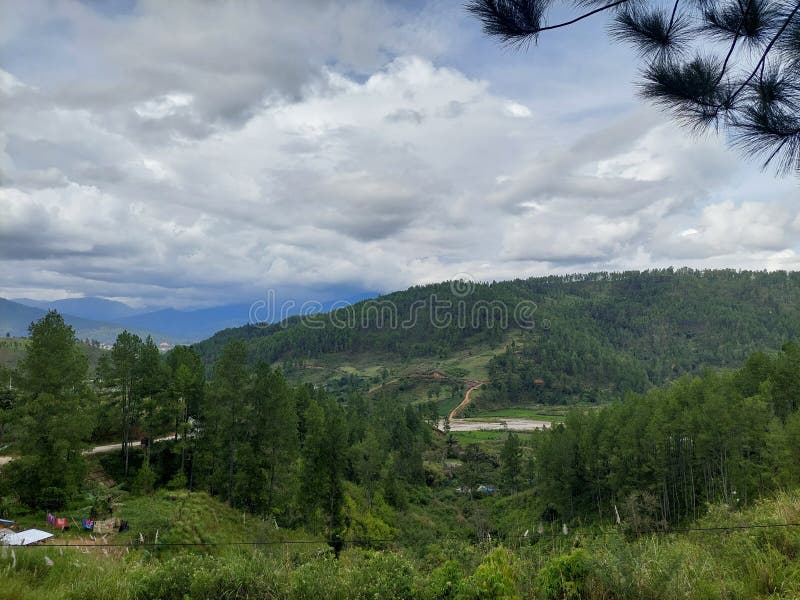 The Beautiful Forest& X27;s View. Its Good for Healing and Feeling Free ...