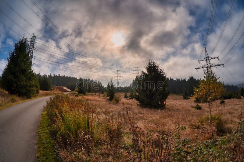 Beautiful Forest Scene in Autumn Stock Image - Image of fall, cloudy ...