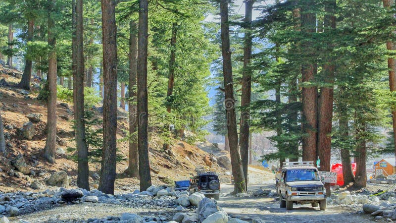 Beautiful Forest Side Somewhere in Naran, Pakistan Stock Image - Image ...
