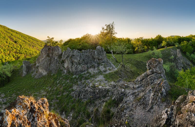 Beautiful Forest in Spring with Bright Sun Shining through the Trees ...
