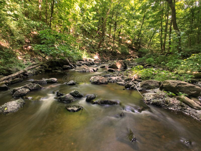 A beautiful forest stream stock photo. Image of exposure - 118063856
