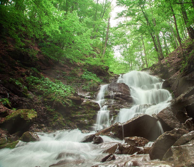 Beautiful Forest Waterfall with Trees Around it Stock Photo - Image of ...