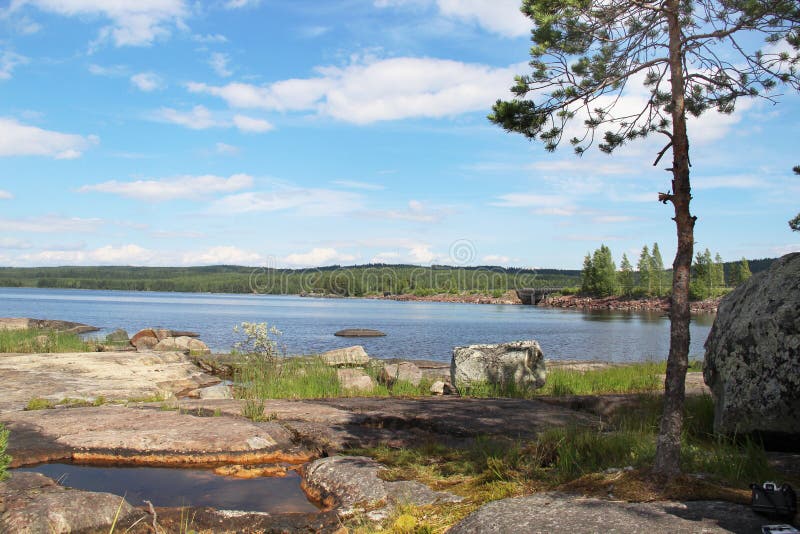 Beautiful Forests of Finland Stock Image - Image of birchs, ecology ...