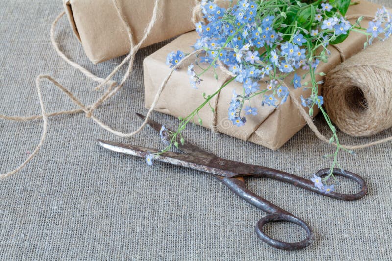 Beautiful Forget Me Not Flower Arrangements Stock Photo - Image of ...