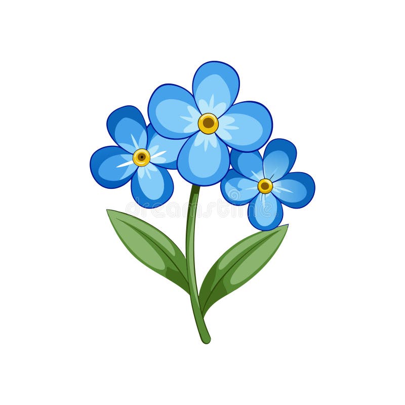 Beautiful Forget-Me-Not Flower Artwork for Botanical Displays Stock ...