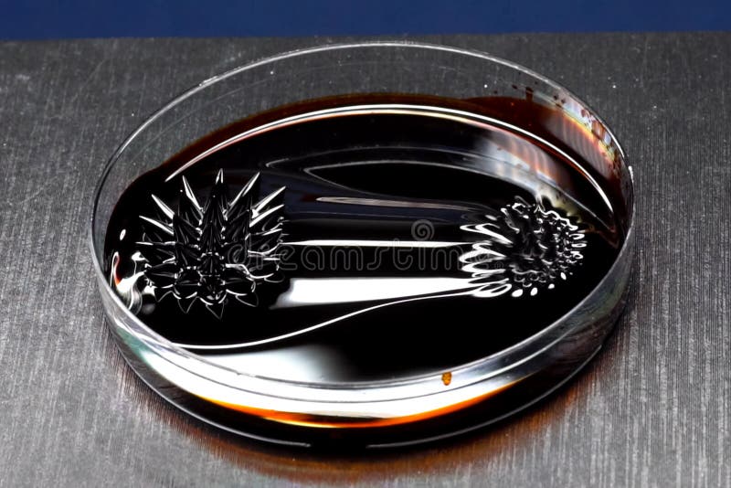 Beautiful Forms of Ferromagnetic Fluid. Stock Image - Image of liquid ...