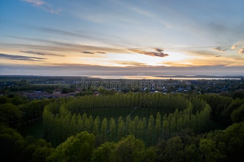 Beautiful Forrest with Trees in a Circle Stock Photo - Image of rural ...