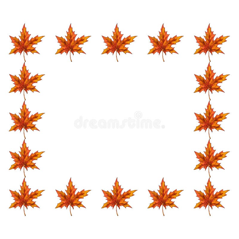 Beautiful Frame of Bright Maple Leaves Isolated on White Background ...