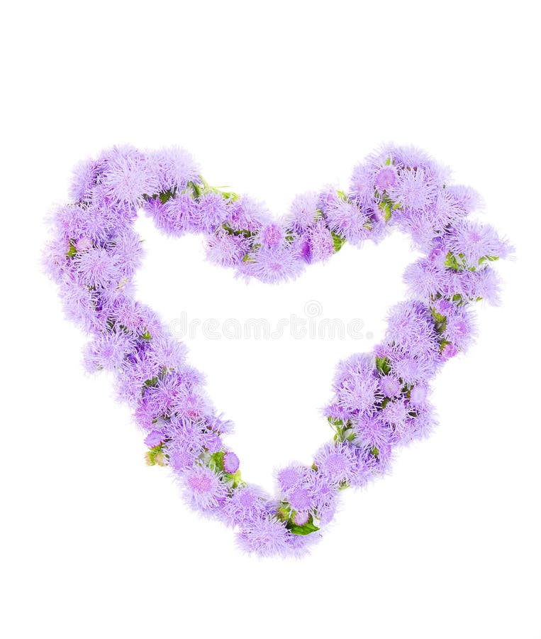 The beautiful frame heart stock photo. Image of decoration - 20370802