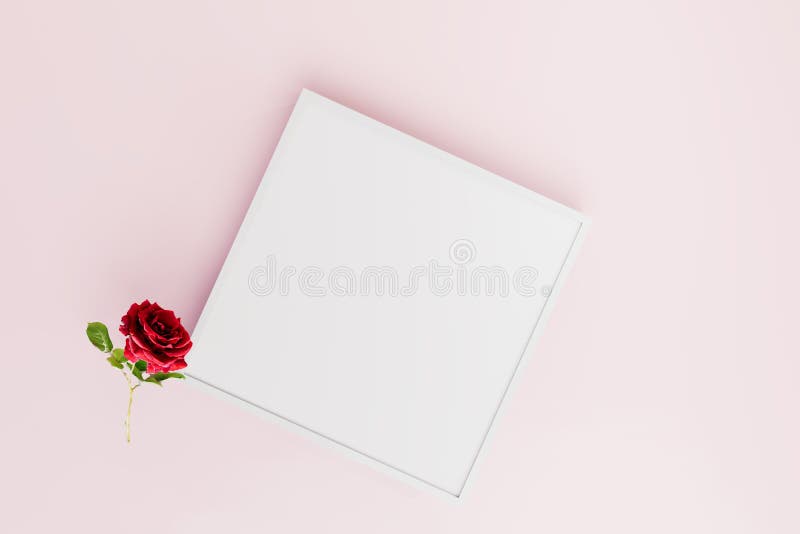 Beautiful Frame for Photos with a Rose on a Pastel Background. Copy ...